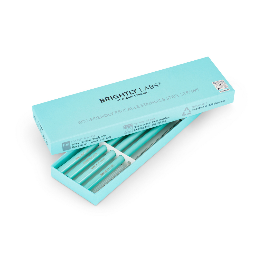 Stainless Steel Straw – Brightly Labs®